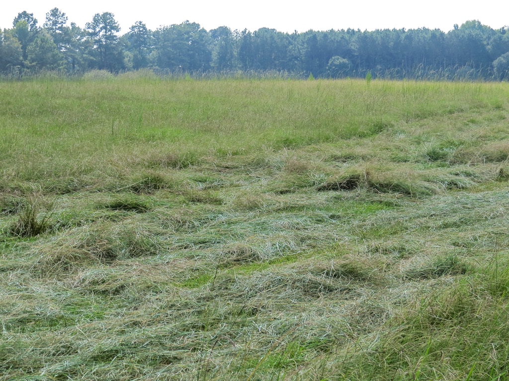 Baling Hay 101 Feeding Farm Animals - Rambling Rose Farmhouse