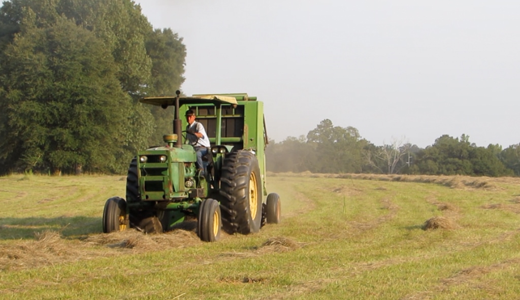 Baling Hay 101 Feeding Farm Animals - Rambling Rose Farmhouse