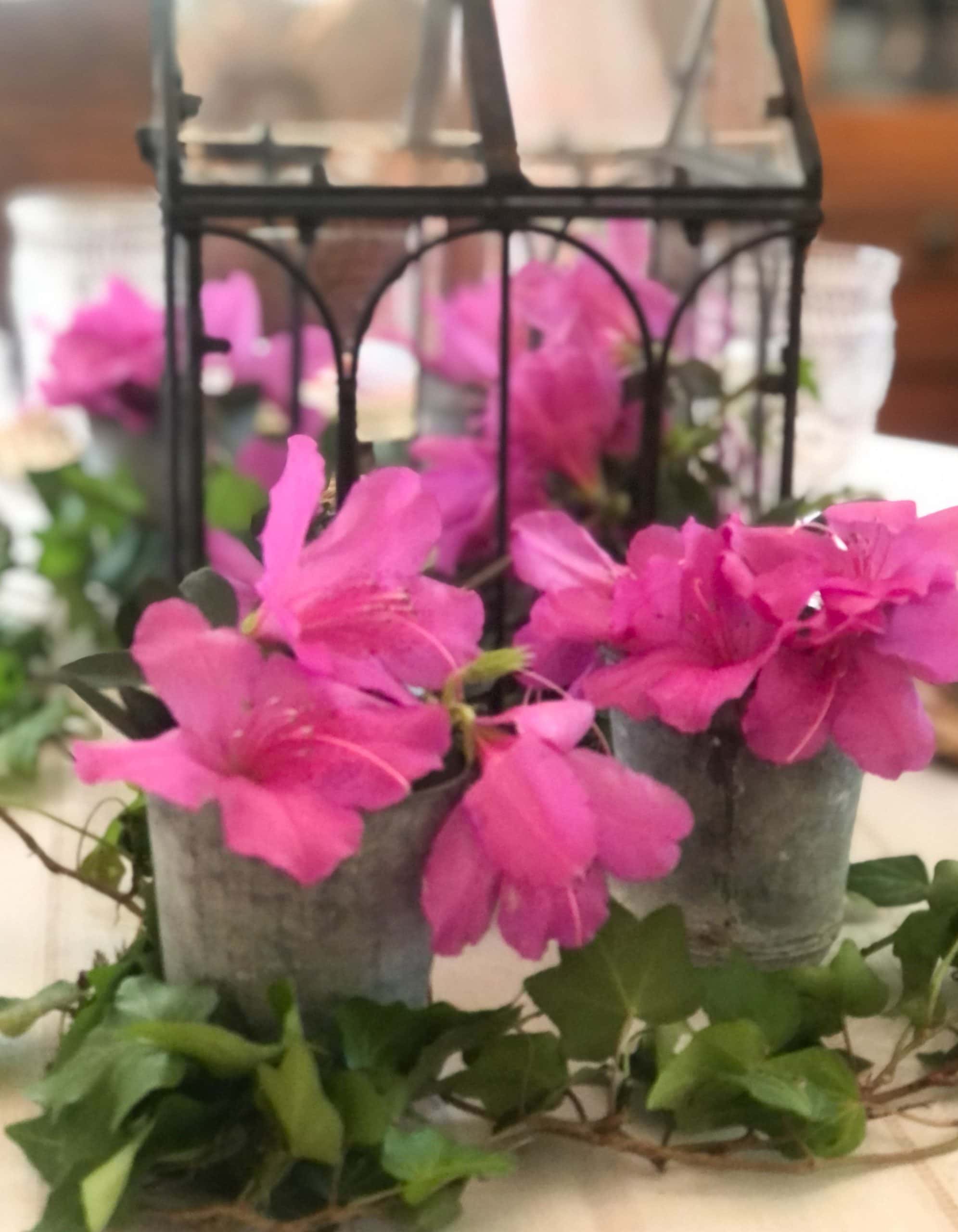 Spring Table Setting at the Farmhouse - Rambling Rose Farmhouse